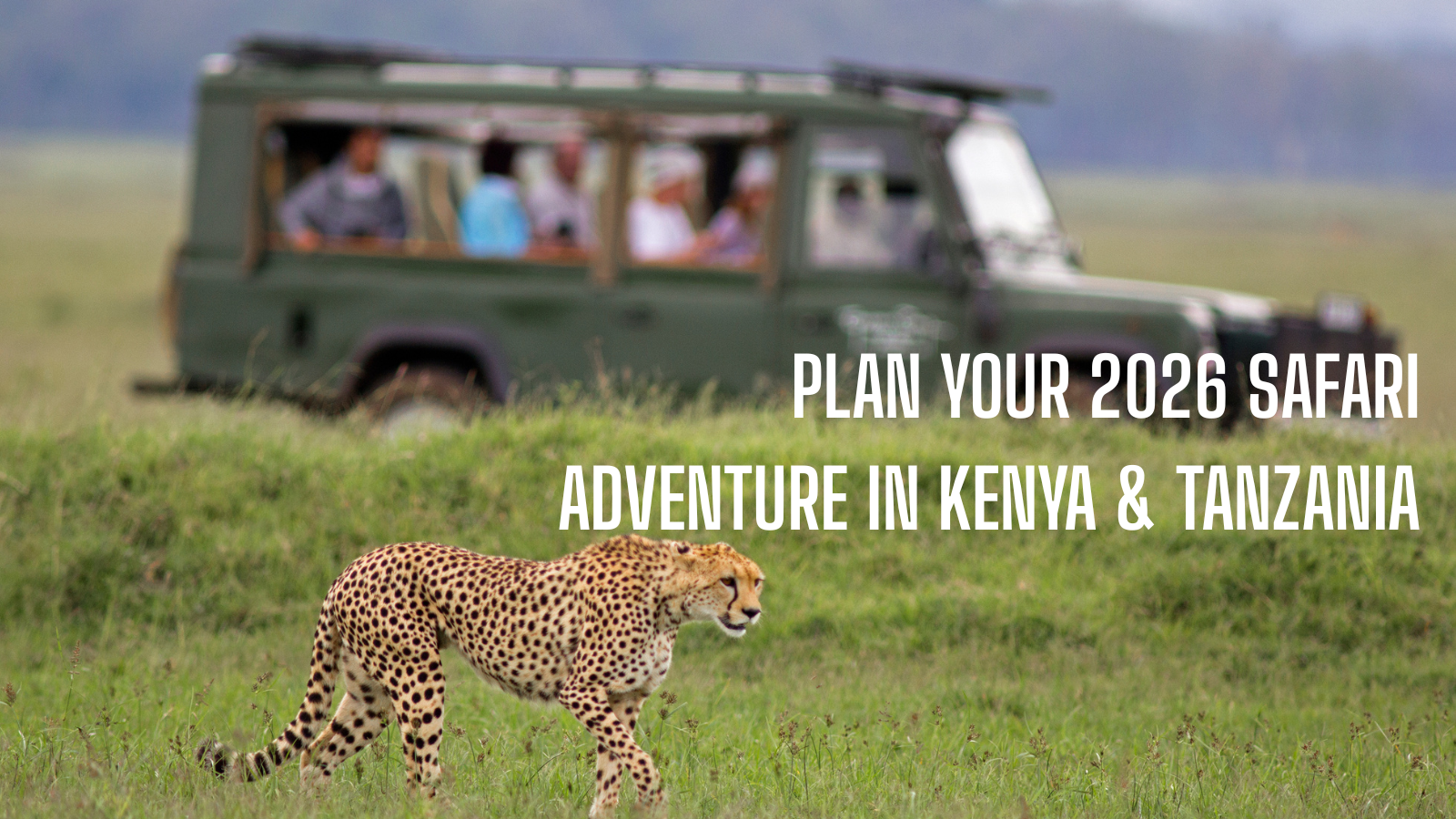 🐘 Safari Adventures in Kenya & Tanzania: Your 2026 Bucket-List Trip